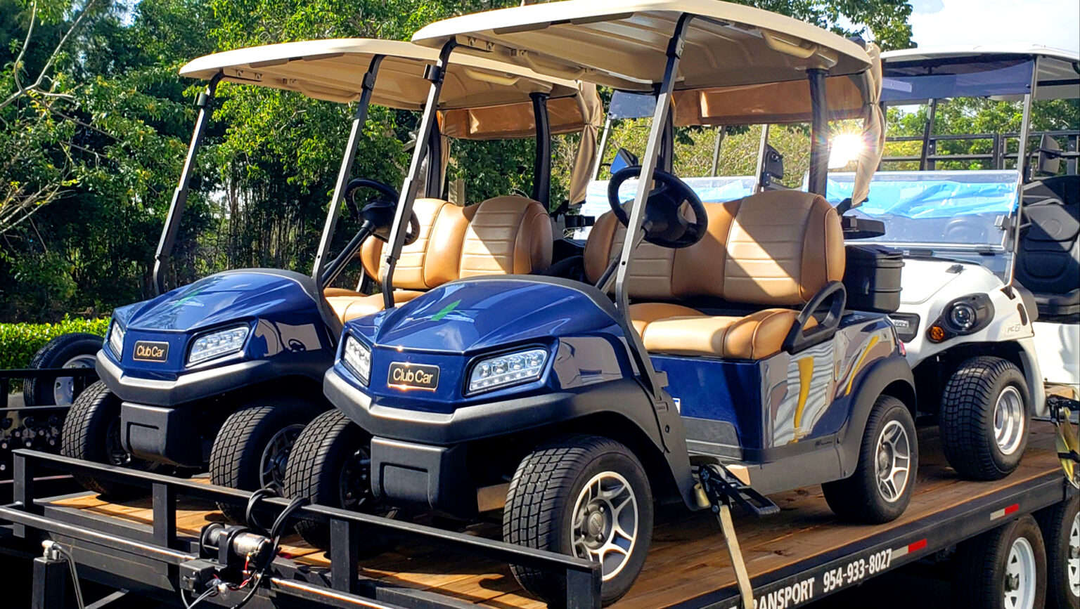 Golf Cart Transport Miami Dade Broward Palm Beach Florida - A.A.I. Golf ...